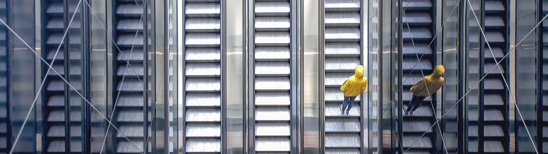 Investor Relations bei der All for One Group